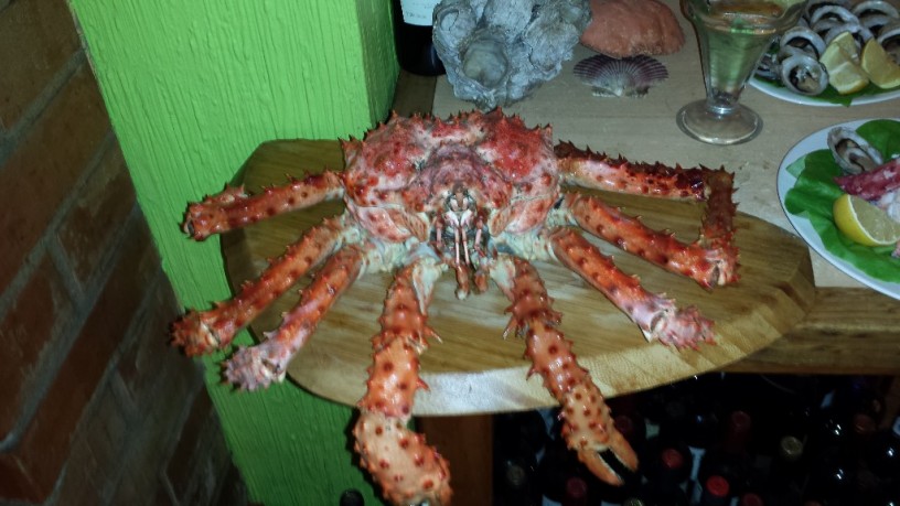 Centolla no Mercado Central - Para Viagem