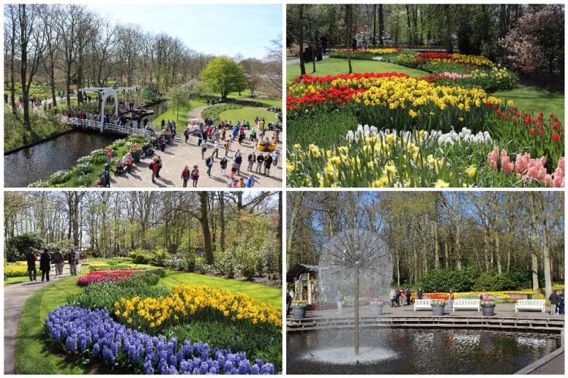 O belo parque Keukenhof - Para Viagem